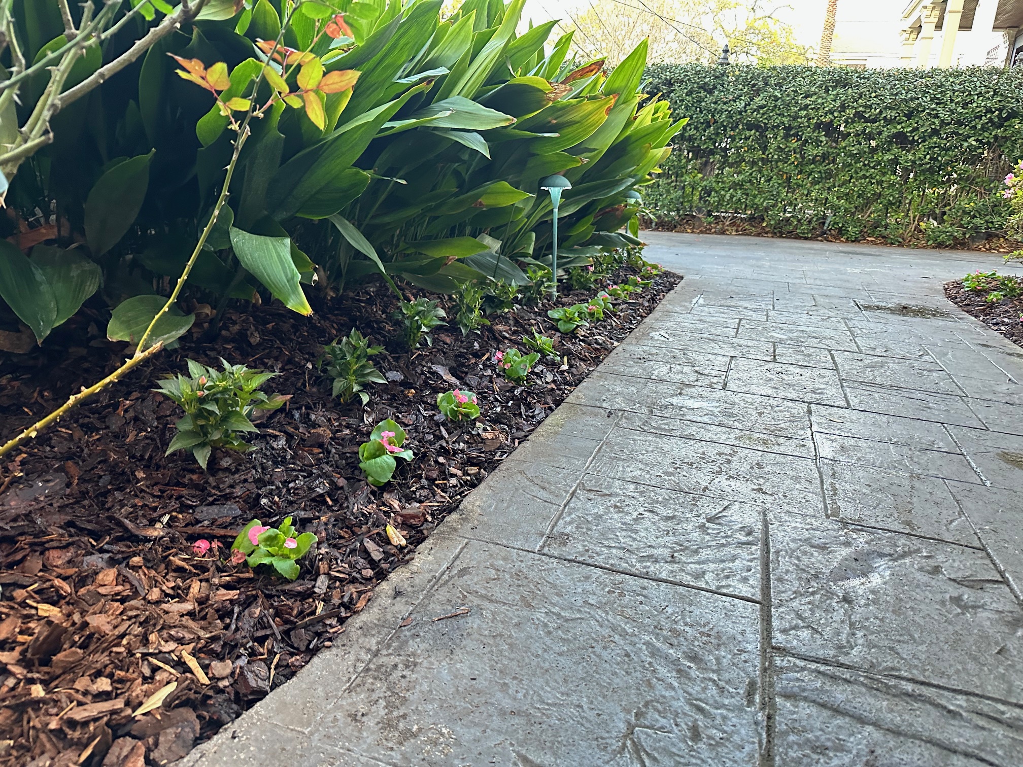 Absolute Landscaping