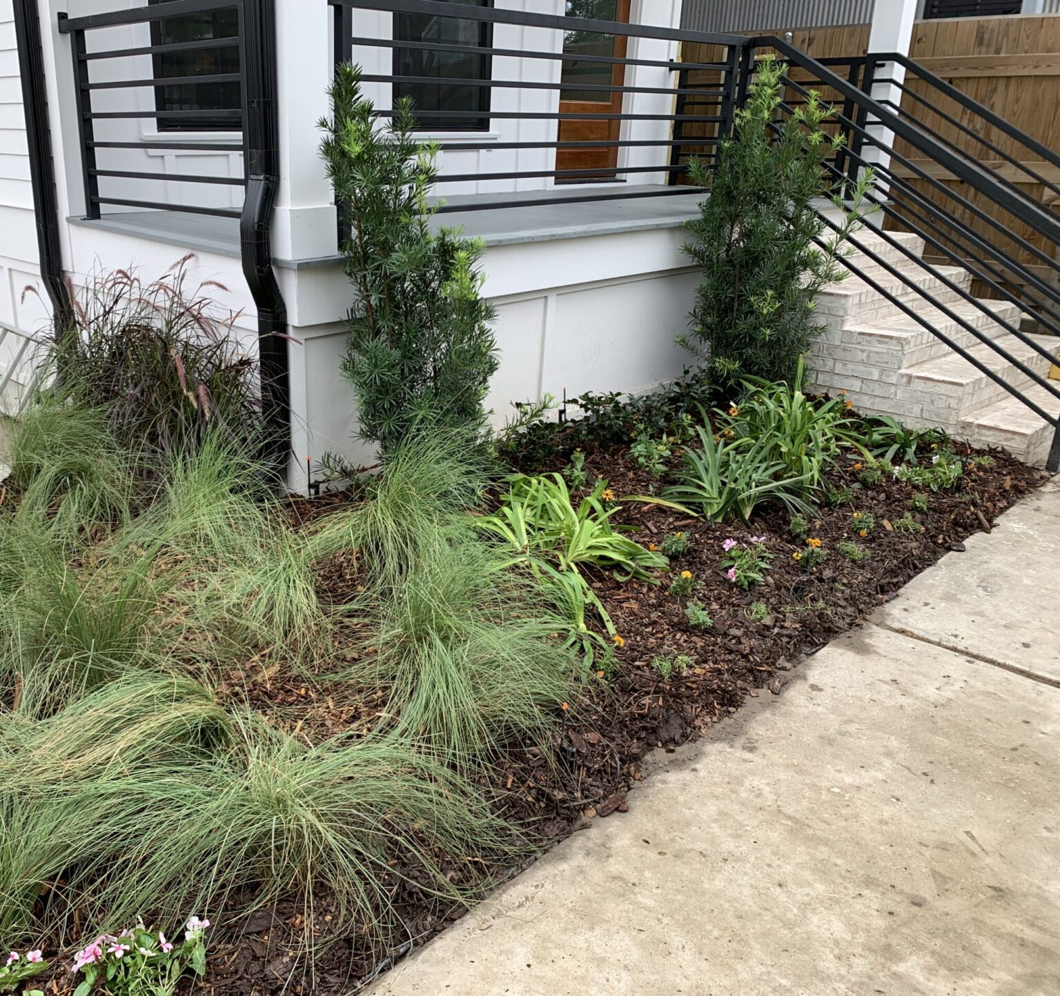 Absolute Landscaping