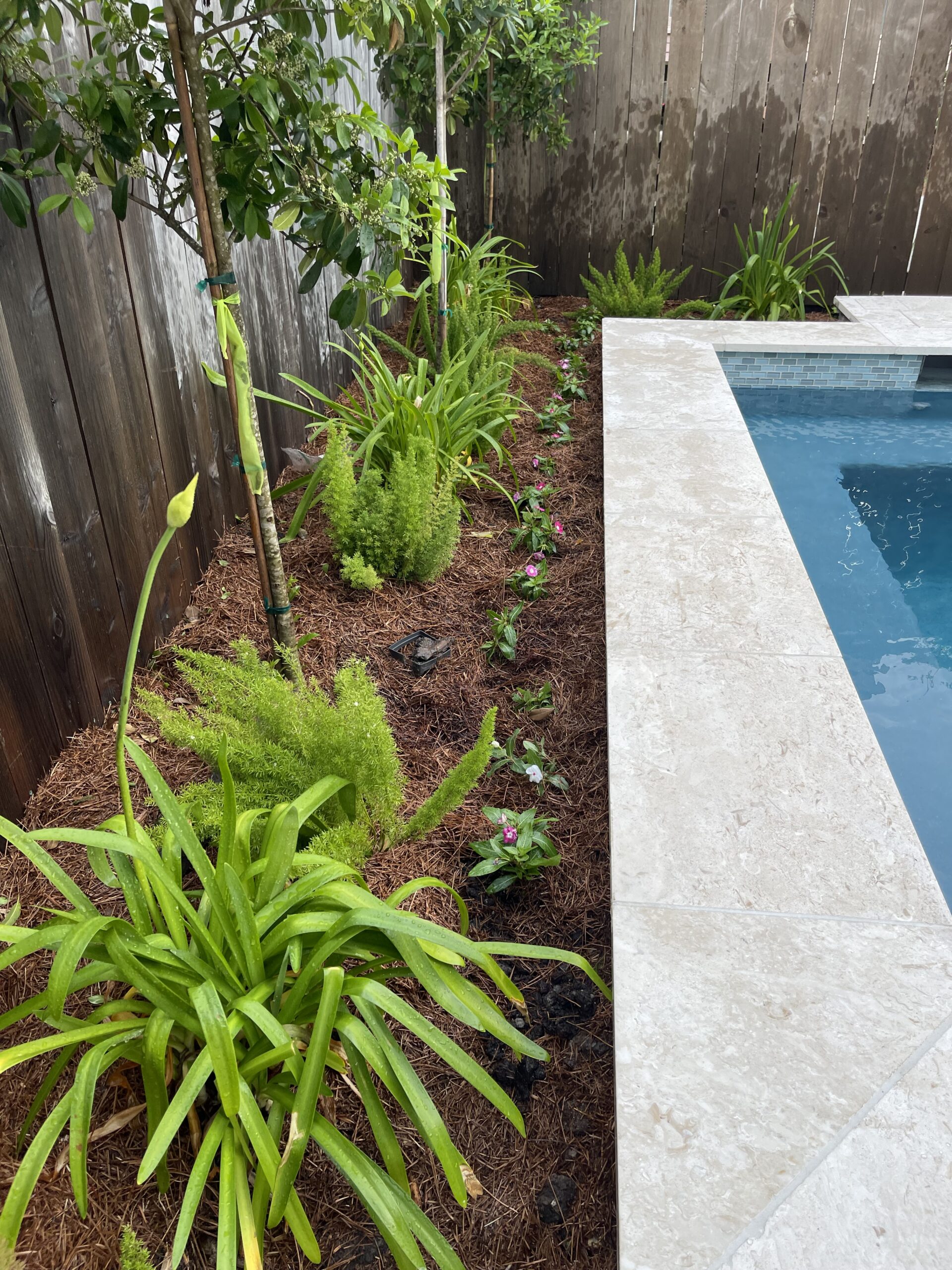 Absolute Landscaping