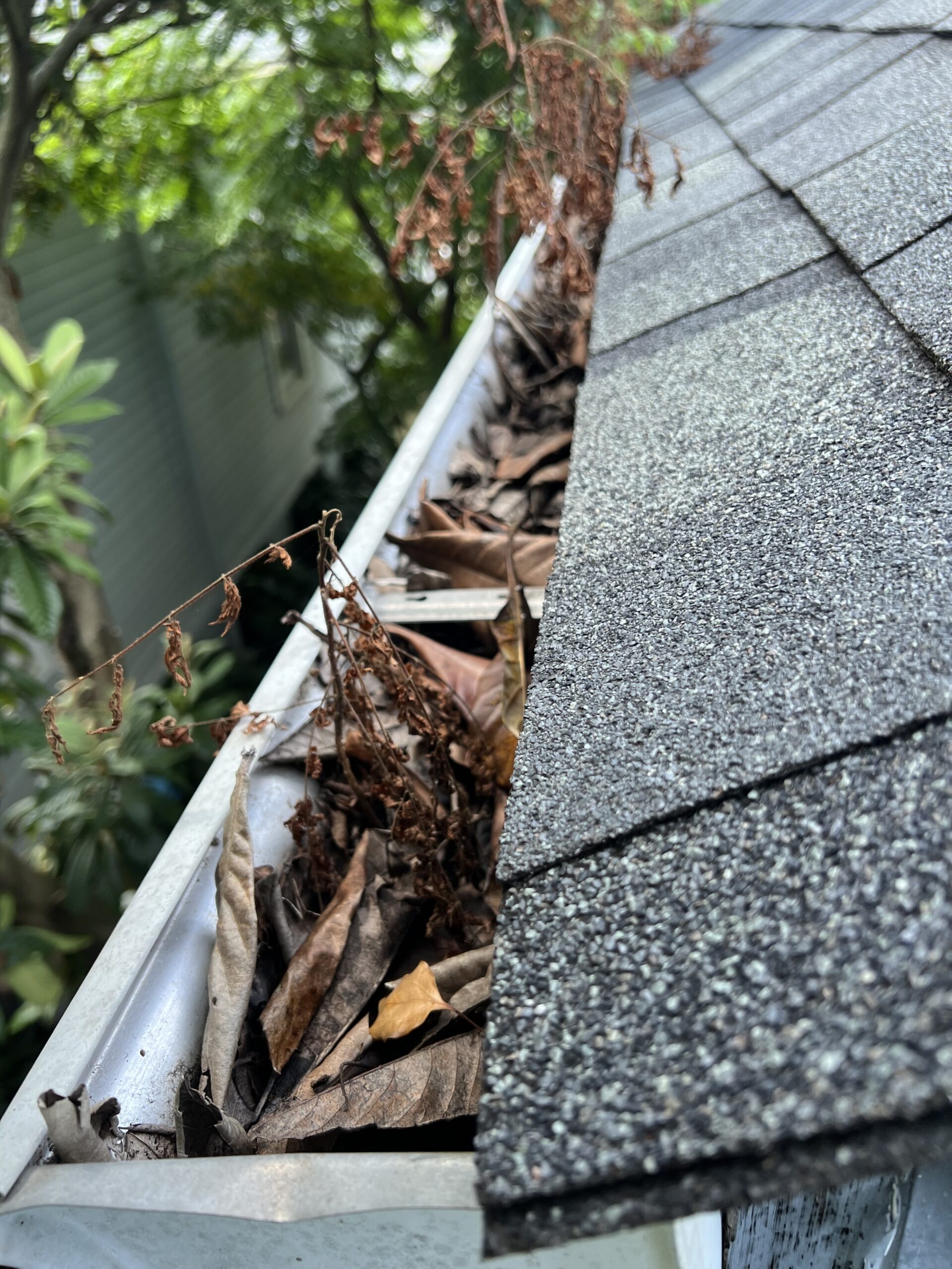 Absolute Landscaping